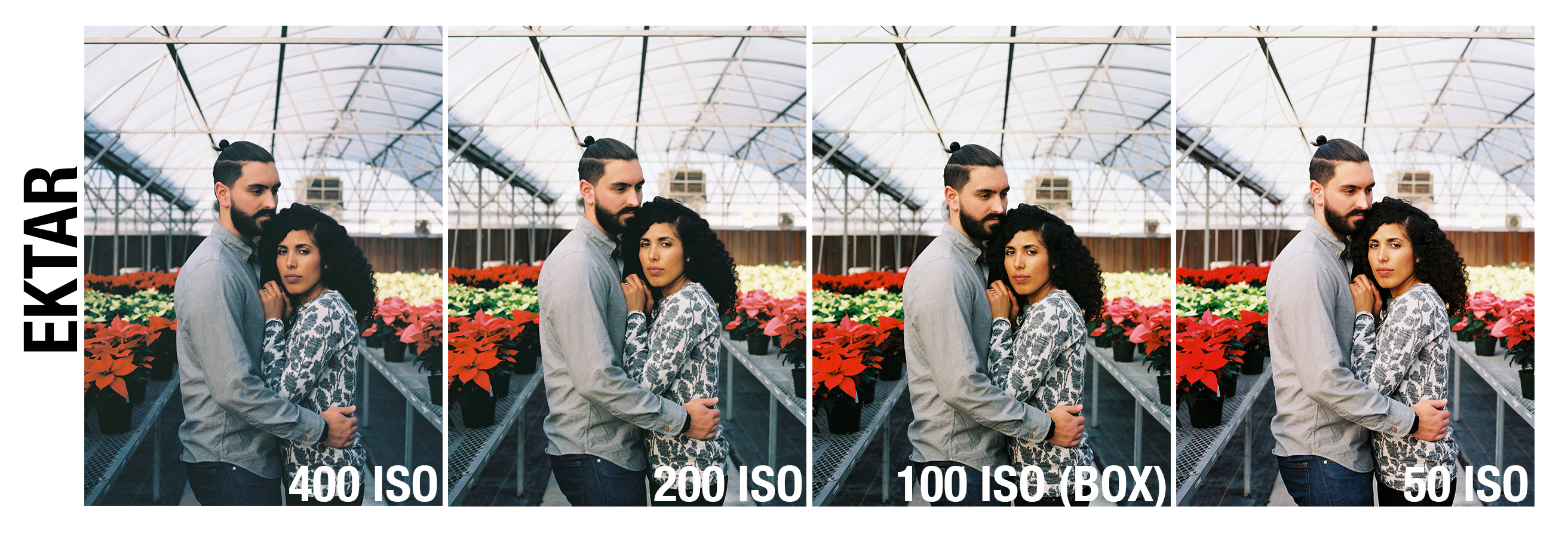How To Rate Color Film Thefindlab